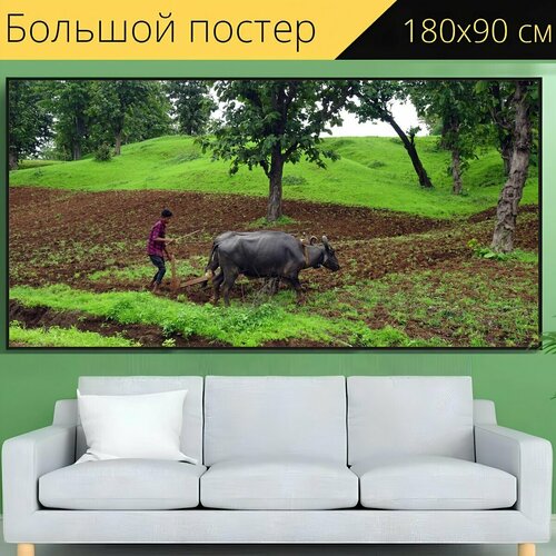 Большой постер "Пахать, буйвол, обработка почвы" 180 x 90 см. для интерьера