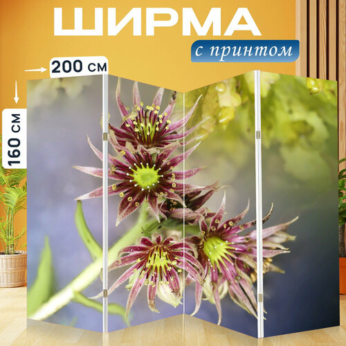 Ширма перегородка с принтом "Цветок, цветы, природа" на холсте - 200x160 см. для зонирования, раскладная