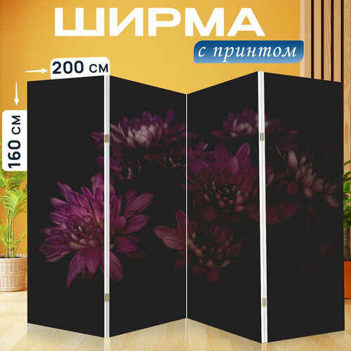 Ширма перегородка с принтом "Темный, цветок, лепестки" на холсте - 200x160 см. для зонирования, раскладная