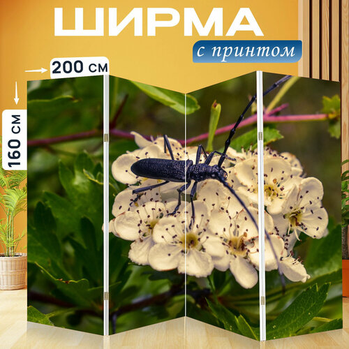 Ширма перегородка с принтом "Весна, солнце, насекомые" на холсте - 200x160 см. для зонирования, раскладная