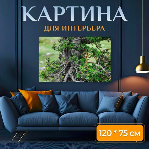 Картина на холсте "Корень, дерево, трава" на подрамнике 120х75 см. для интерьера