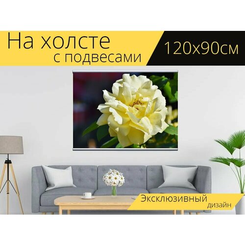 Картина на холсте "Роза, садовая роза, благородная роза" с подвесами 120х90 см. для интерьера
