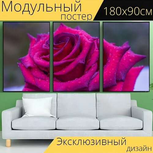 Модульный постер "Роза, дождь, цветок" 180 x 90 см. для интерьера