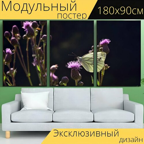Модульный постер "Бабочка, белый, цветок" 180 x 90 см. для интерьера