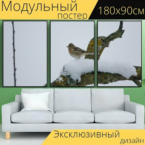 Модульный постер "Птица, зимний сад, собирательство" 180 x 90 см. для интерьера