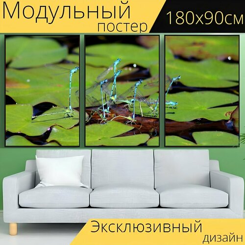 Модульный постер "Стрекоза, пруд, водяная лилия" 180 x 90 см. для интерьера