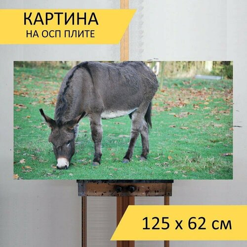 Картина на ОСП 125х62 см. "Попка, природа, луг" горизонтальная, для интерьера, с креплениями