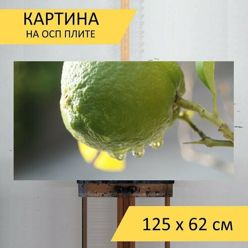 Картина на ОСП 125х62 см. "Природа, лимон, дождь" горизонтальная, для интерьера, с креплениями