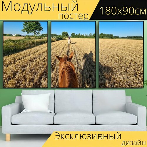 Модульный постер "Лошадь, поле, луг" 180 x 90 см. для интерьера