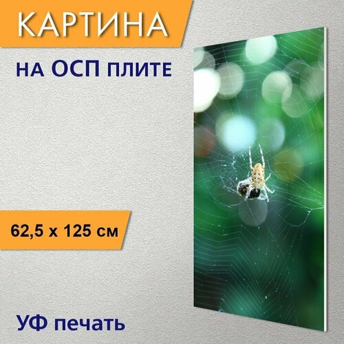 Вертикальная картина на ОСП "Паук, насекомые, арахнофобия" 62x125 см. для интерьериа