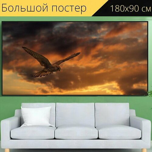 Большой постер "Канюк, хищник, птица" 180 x 90 см. для интерьера