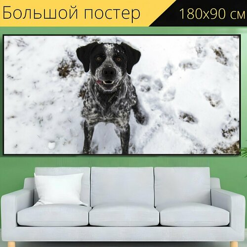 Большой постер "Собака, снег, стопам" 180 x 90 см. для интерьера