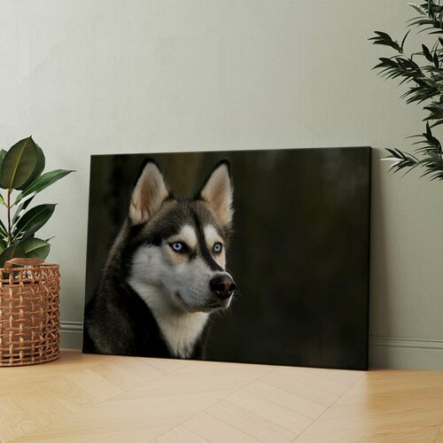 Картина на холсте (Хаски - собака аляскинского и сибирского происхождения, щенок) 30x40 см. Интерьерная, на стену.