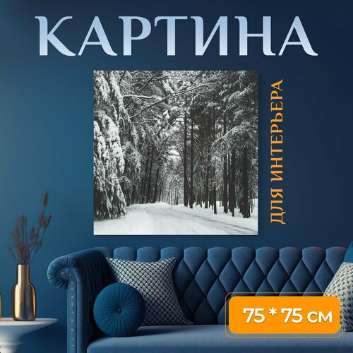 Картина на холсте "Зима, снег, холодный" на подрамнике 75х75 см. для интерьера