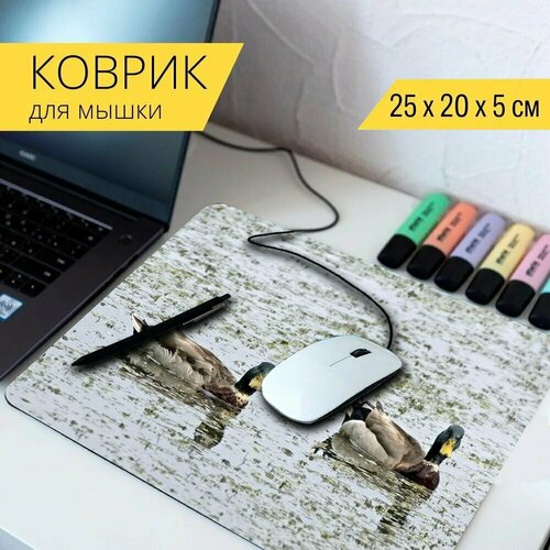 Коврик для мыши с принтом "Утки, кряквы, игла" 25x20см.