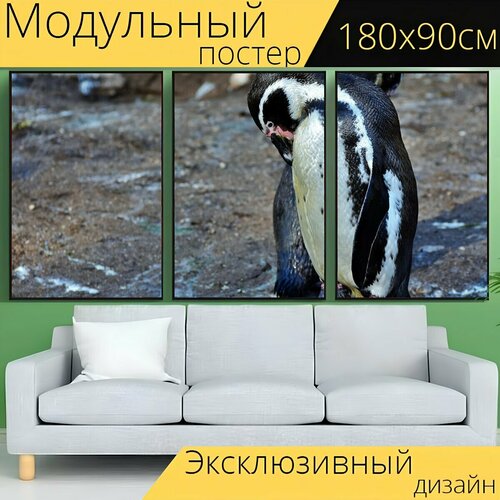 Модульный постер "Пингвин, птица, водоплавающая птица" 180 x 90 см. для интерьера