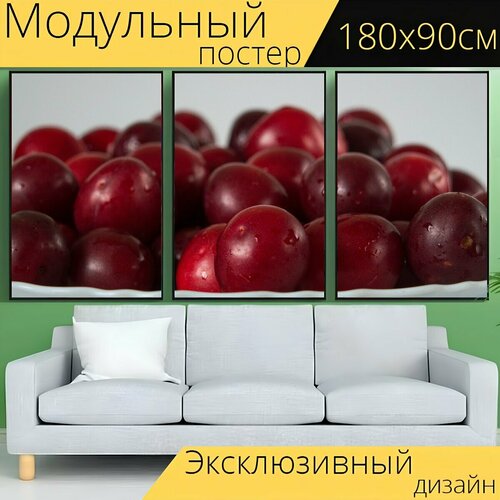 Модульный постер "Слива, фрукты, милая" 180 x 90 см. для интерьера
