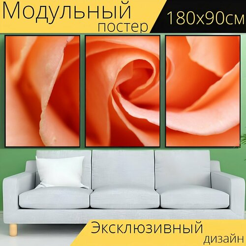 Модульный постер "Роза, цветок, лепесток" 180 x 90 см. для интерьера