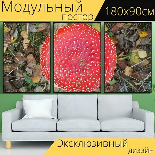 Модульный постер "Поганка, гриб, лес" 180 x 90 см. для интерьера