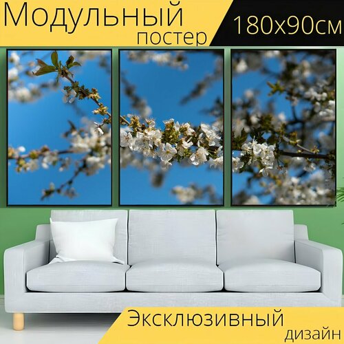 Модульный постер "Вишневый цветок, вишня, дерево" 180 x 90 см. для интерьера