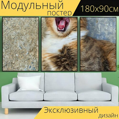 Модульный постер "Зевать, кошка, котенок" 180 x 90 см. для интерьера