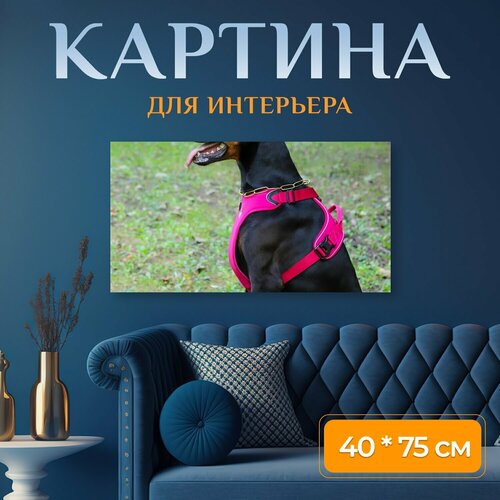 Картина на холсте "Доберман, собака, довольно" на подрамнике 75х40 см. для интерьера