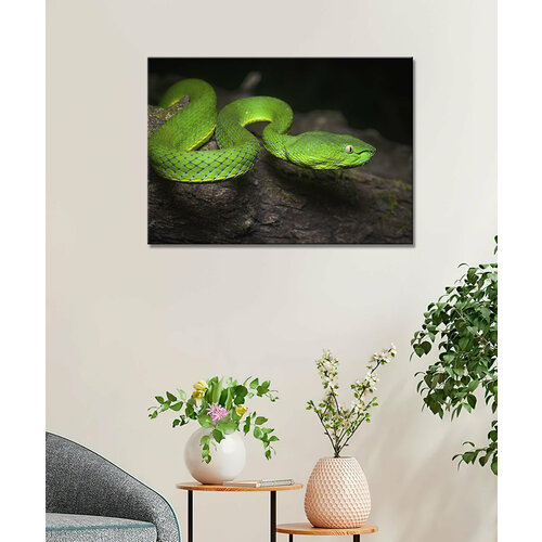 Картина - змея, зелёная змея, змея на камне, змея крупным планом, яркая змея (95) 20х30