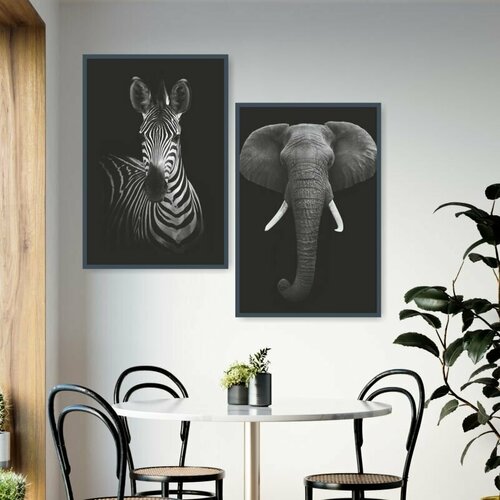 Набор постеров для интерьера Животные: Зебра, Слон 30х40 см в тубусе ПолиЦентр, 2 шт