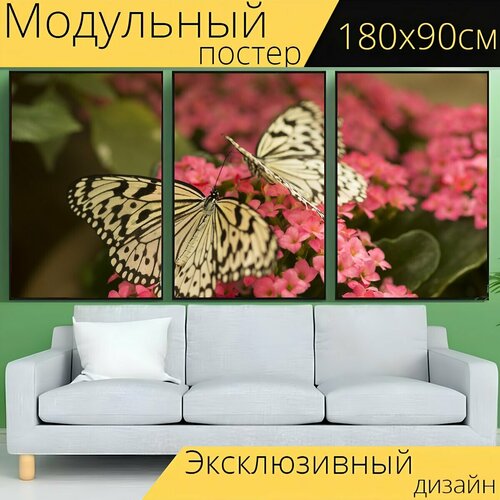 Модульный постер "Бабочки, бабочка, природа" 180 x 90 см. для интерьера