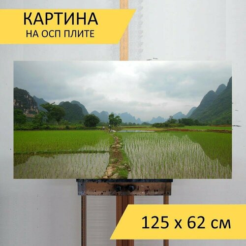 Картина на ОСП 125х62 см. "Юньнань, рисовые поля, китай" горизонтальная, для интерьера, с креплениями