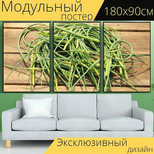 Модульный постер "Чеснок, овощи, растения" 180 x 90 см. для интерьера