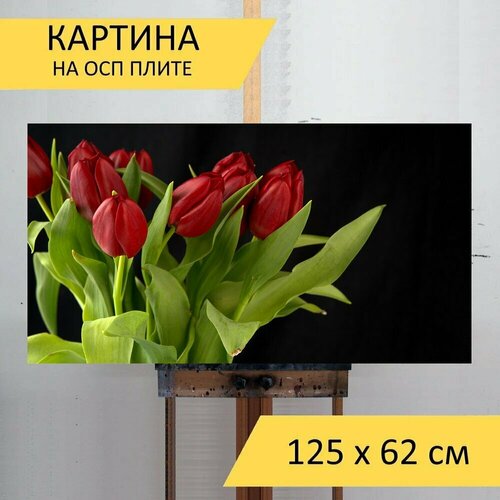 Картина на ОСП 125х62 см. "Тюльпан, красный, весна" горизонтальная, для интерьера, с креплениями