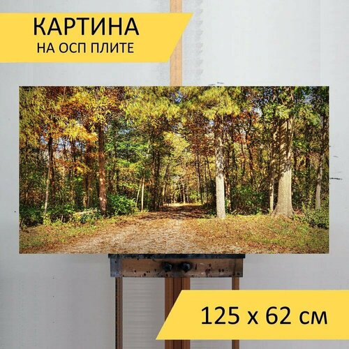 Картина на ОСП 125х62 см. "Пейзаж, осень, деревья" горизонтальная, для интерьера, с креплениями