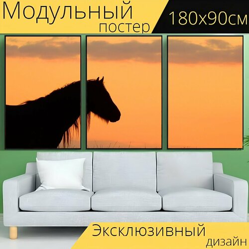 Модульный постер "Лошадь, небо, вид" 180 x 90 см. для интерьера