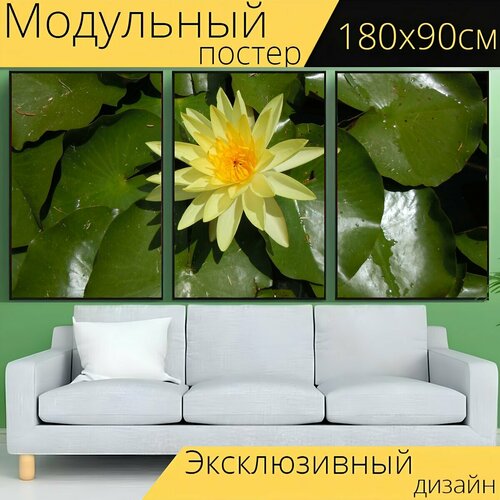 Модульный постер "Водяная лилия, желтый цветок, природа" 180 x 90 см. для интерьера