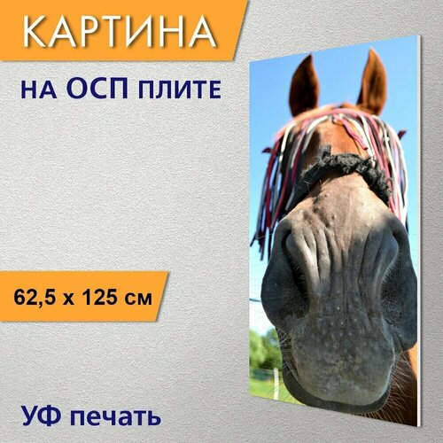 Вертикальная картина на ОСП "Лошадь, лошадиная голова, животное" 62x125 см. для интерьериа