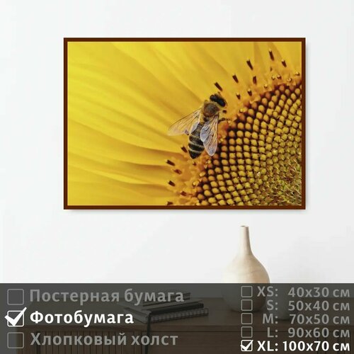 Постер на фотобумаге Пчела В Подсолнухе 100х70 см ПолиЦентр