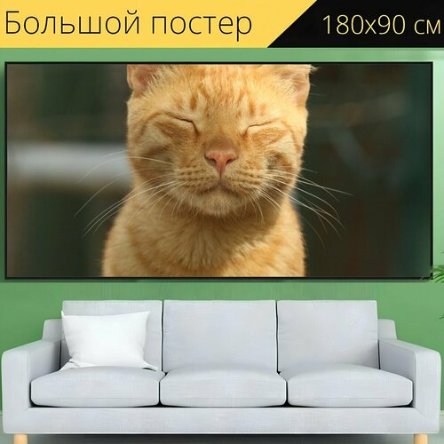 Большой постер "Кошка, лицо, глаза" 180 x 90 см. для интерьера