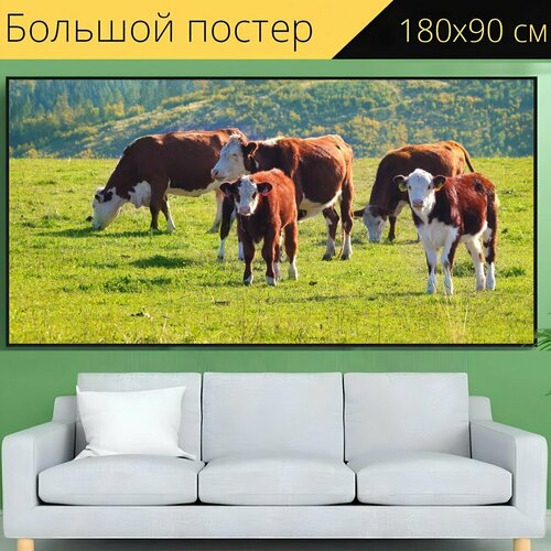 Большой постер "Коровы, стадо, крупный рогатый скот" 180 x 90 см. для интерьера