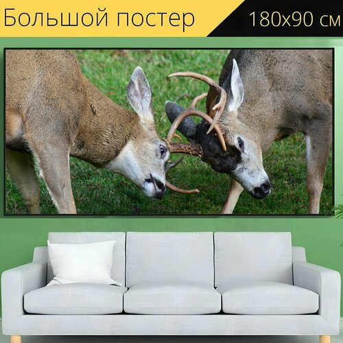 Большой постер "Баксы, олень, рога" 180 x 90 см. для интерьера