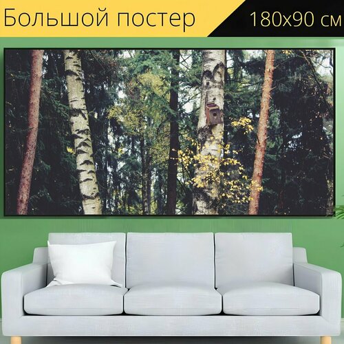 Большой постер "Лес, деревья, березы" 180 x 90 см. для интерьера
