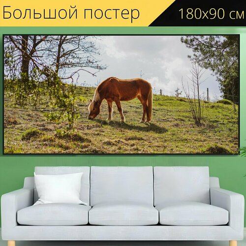 Большой постер "Лошадь, коричневая лошадь, жеребец" 180 x 90 см. для интерьера