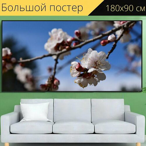 Большой постер "Белые цветки, цветение вишни, сакура" 180 x 90 см. для интерьера