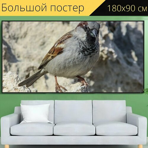Большой постер "Воробей, птица, природа" 180 x 90 см. для интерьера