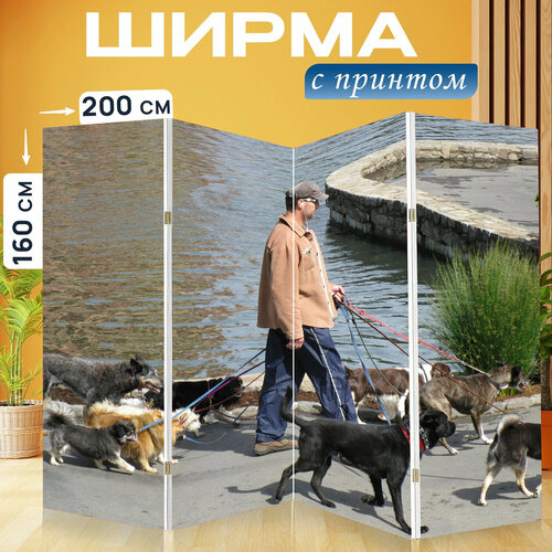 Ширма перегородка с принтом "Собаки, домашние питомцы, собачий" на холсте - 200x160 см. для зонирования, раскладная