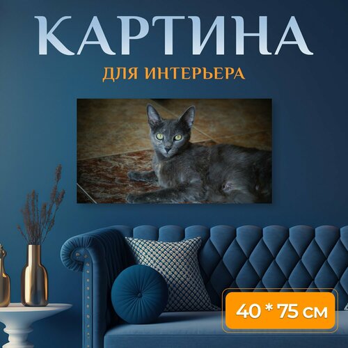 Картина на холсте "Животное, кот, охотник" на подрамнике 75х40 см. для интерьера
