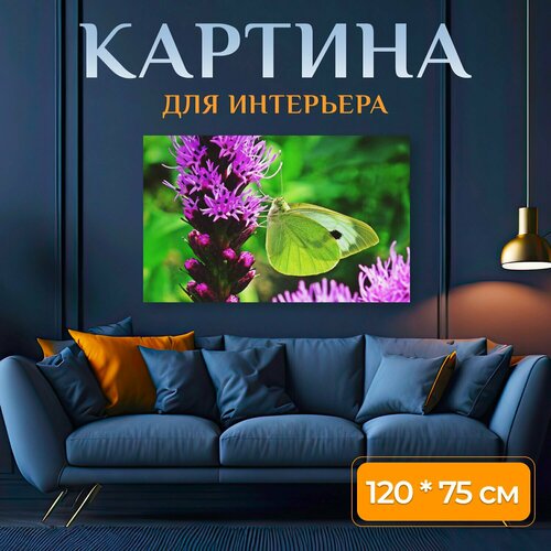 Картина на холсте "Бабочка, насекомое, цветок" на подрамнике 120х75 см. для интерьера