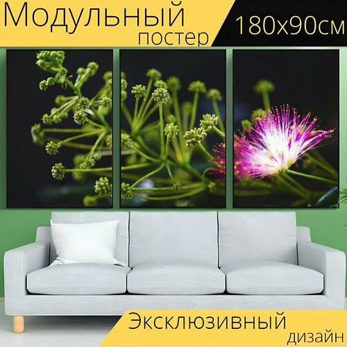 Модульный постер "Цветок, летний цветок, спур цветы" 180 x 90 см. для интерьера