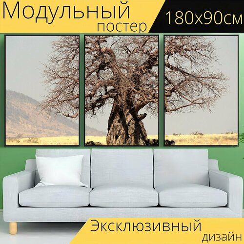 Модульный постер "Африке, дерево, баобаб" 180 x 90 см. для интерьера