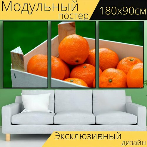 Модульный постер "Апельсины, фрукты, апельсин" 180 x 90 см. для интерьера